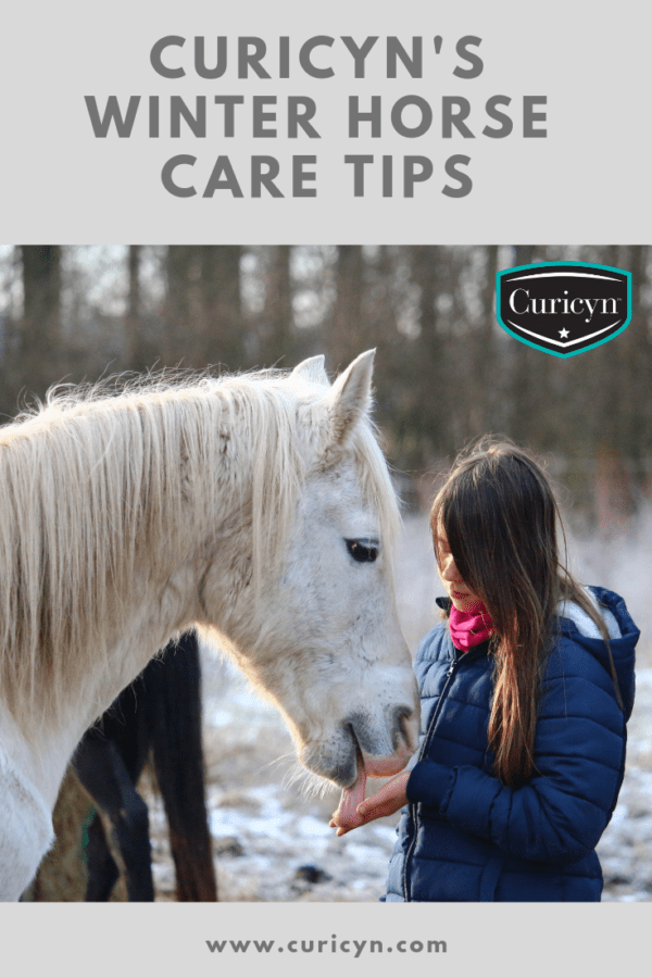 8 horse care tips to keep your horse healthy during the winter months
